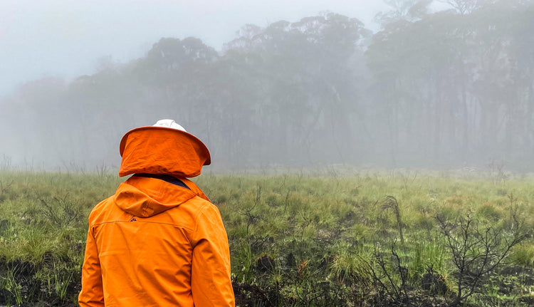 BUSH REGENERATION & ECOSYSTEM RESTORATION – sssafe.com.au