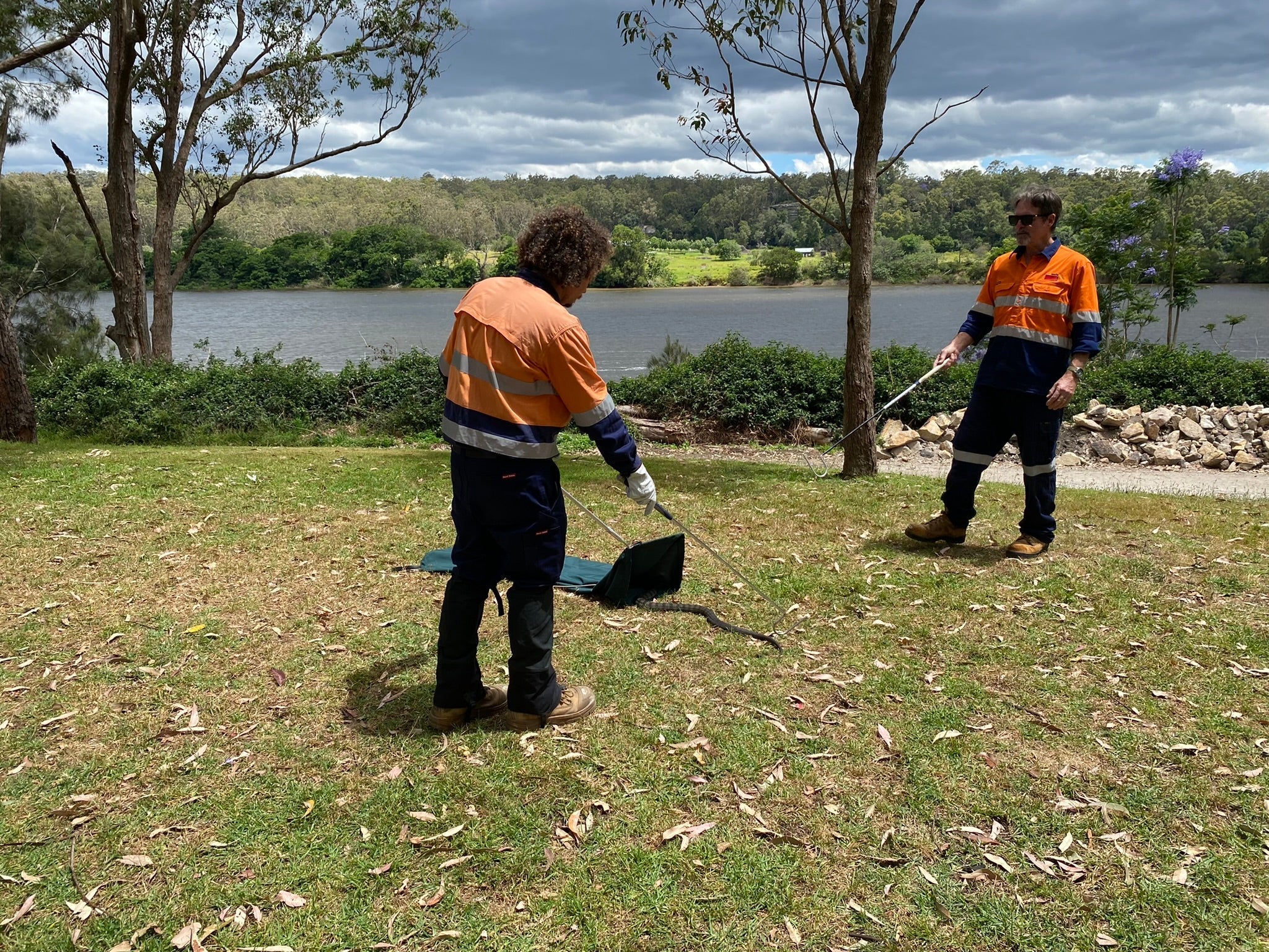 SNAKE & SPIDER SAFETY AWARENESS FOR EMPLOYEES – sssafe.com.au